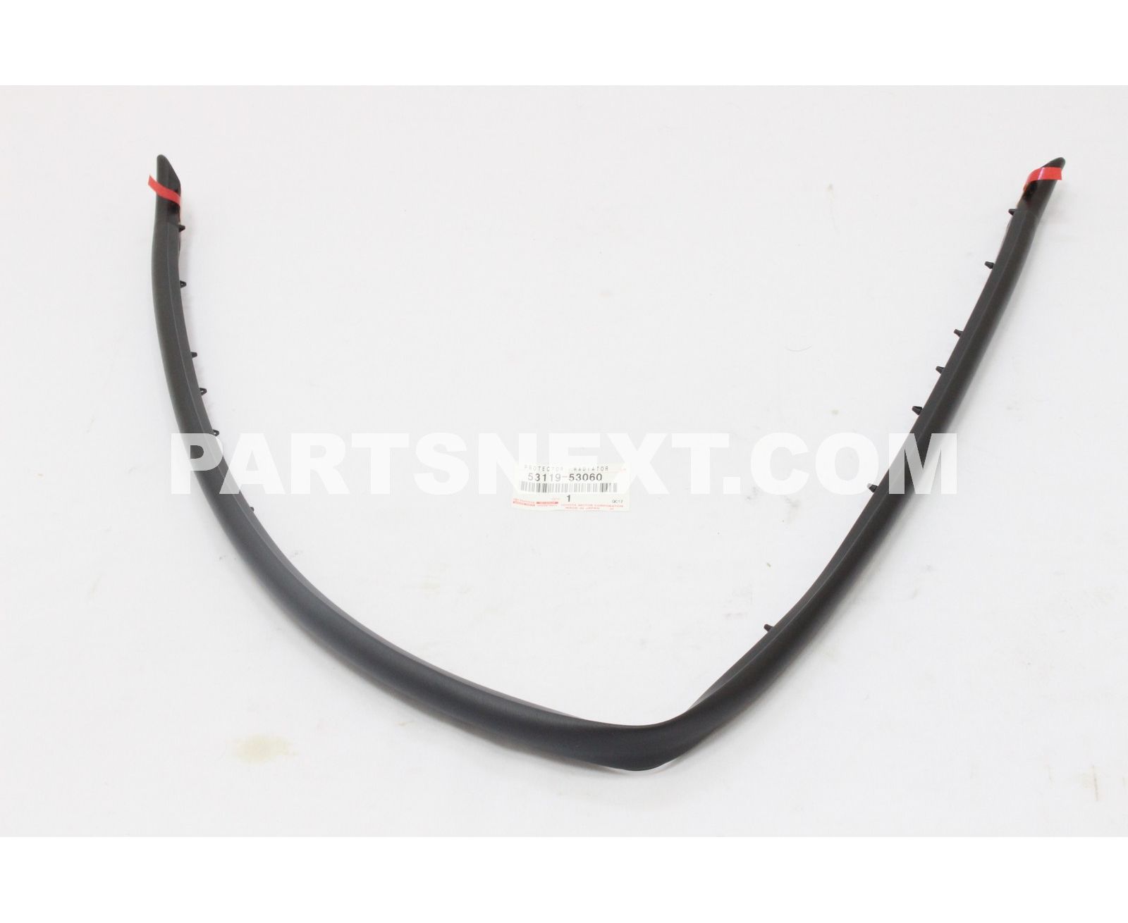 Toyota :: 53119-53060 PROTECTOR, RADIATOR GRILLE